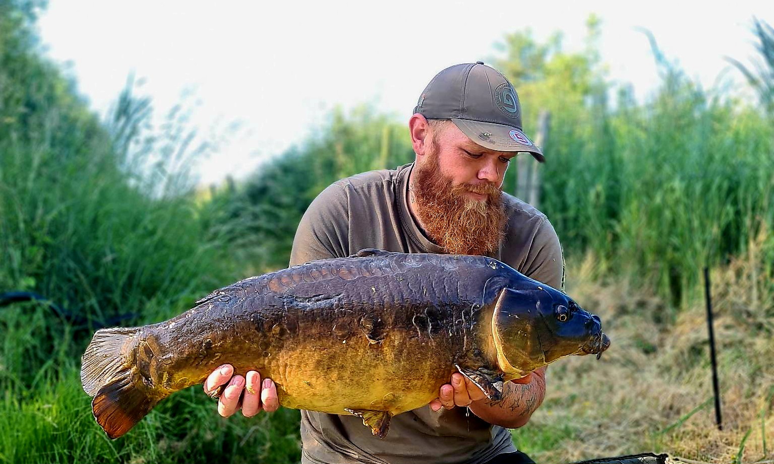 Mirror carp | Total Carp